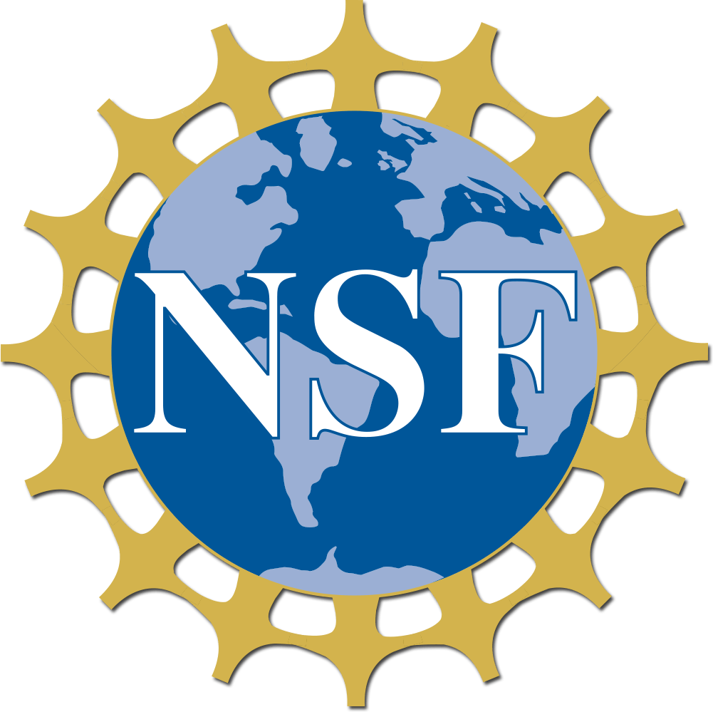 DiceCT – Diffusible Iodine-based Contrast-Enhanced Computed Tomography