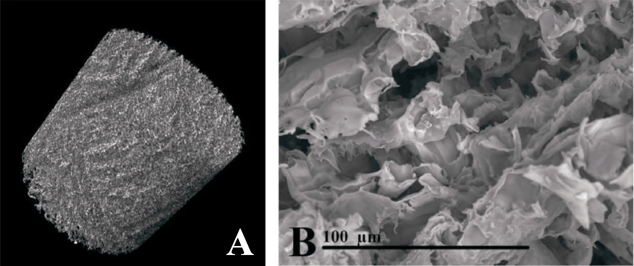 New Publication: Enhanced X-ray absorption for micro-CT analysis of low ...