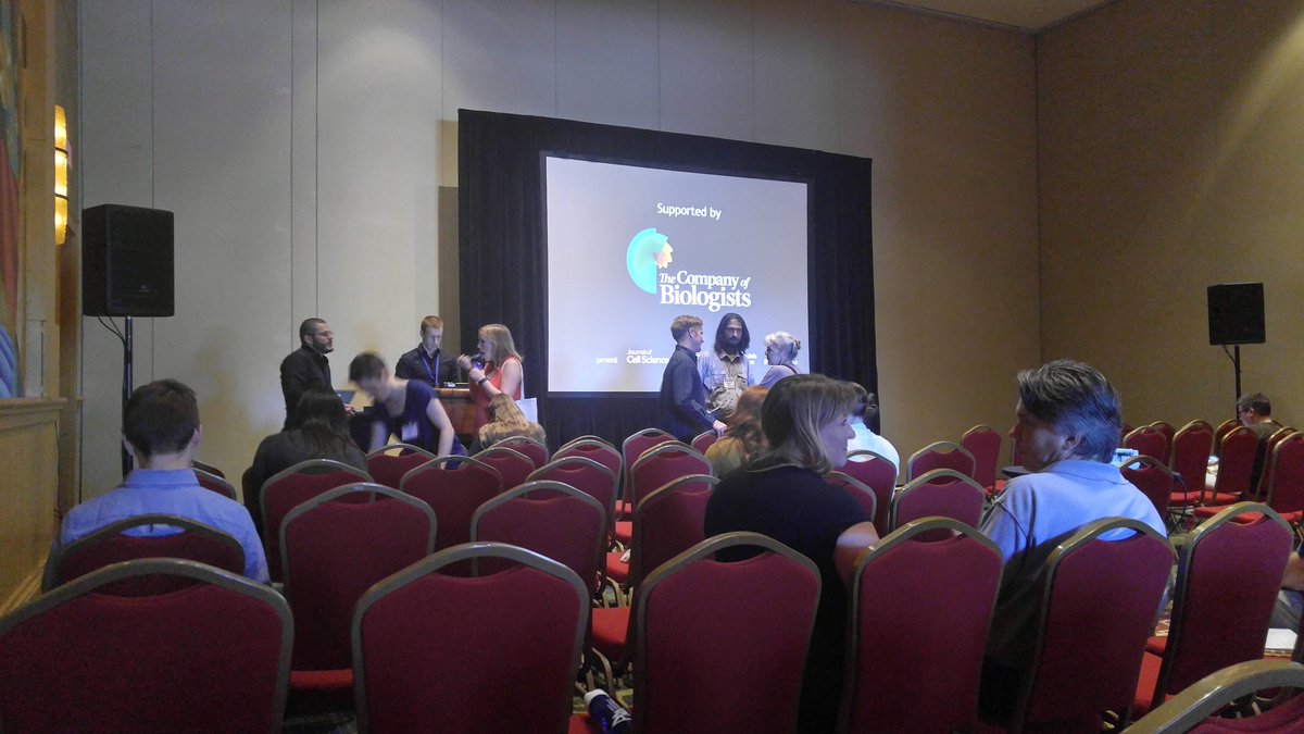 DICECT SYMPOSIUM – DiceCT