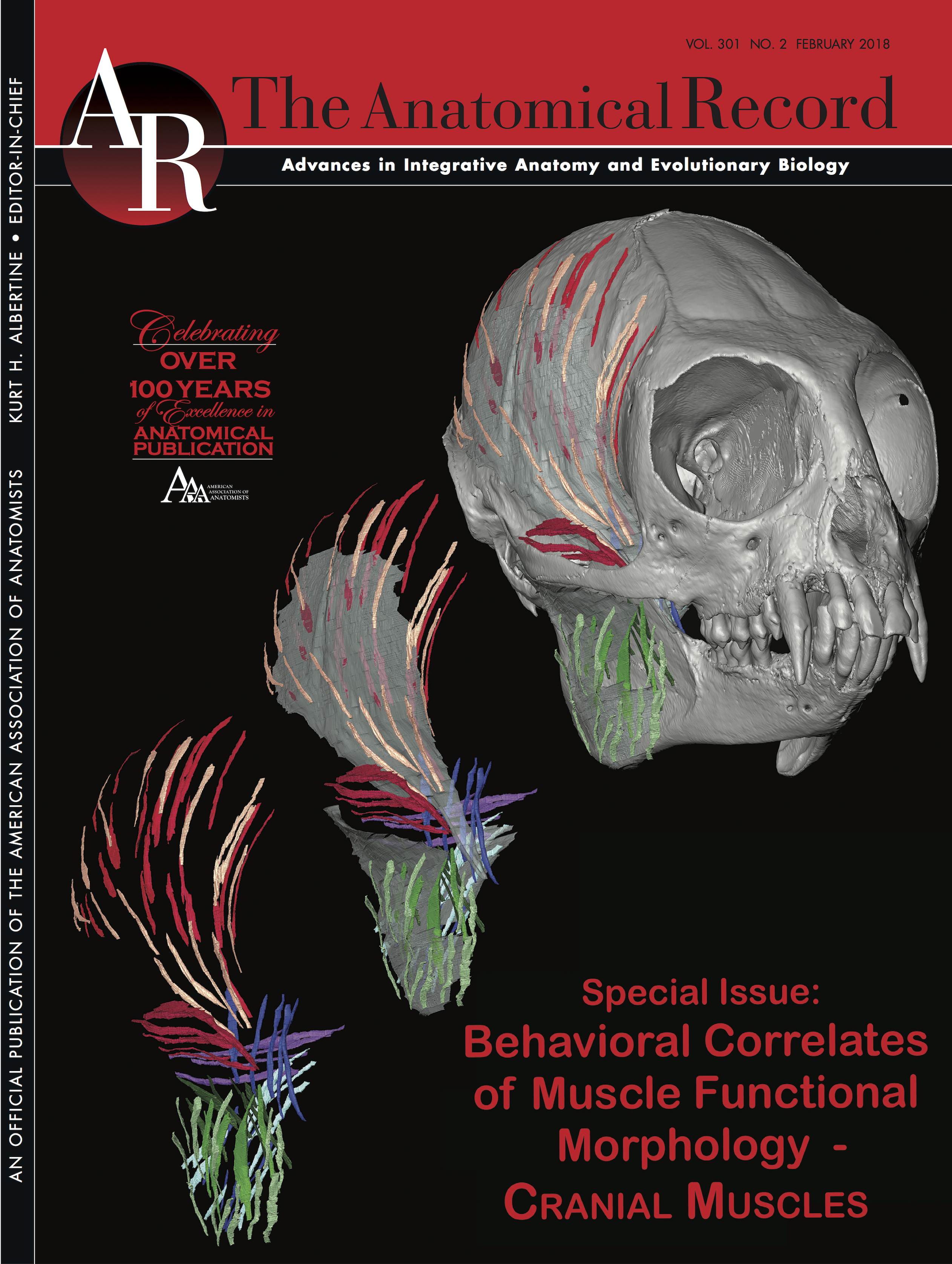 Featured Editorial Team: The Anatomical Record – DiceCT