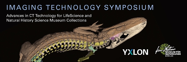 DiceCT – Diffusible Iodine-based Contrast-Enhanced Computed Tomography